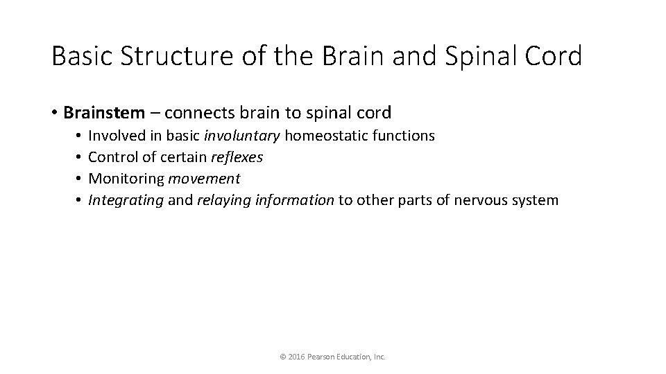 Chapter 12 Self Assessment Part 1 Basic Structure