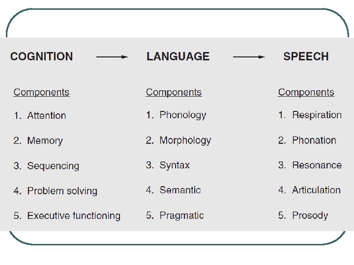 Adult Language Disorders and Cognitive Based Dysfunction Focus