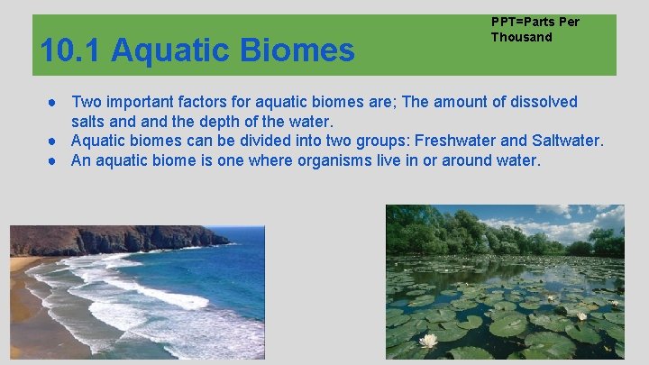 10 1 Aquatic Biomes 10 2 StandingWater Biomes