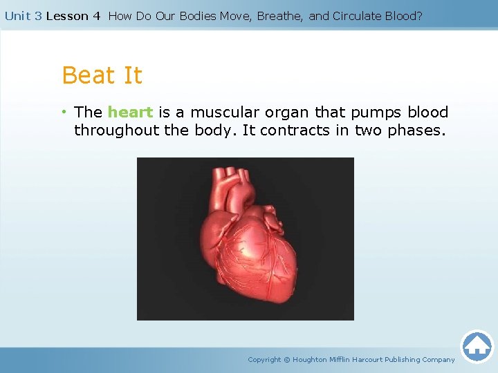 Unit 3 Lesson 4 How Do Our Bodies