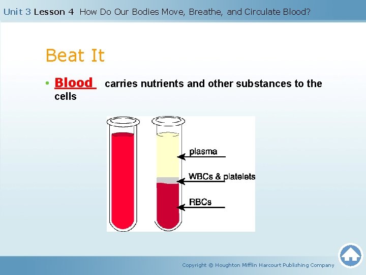 Unit 3 Lesson 4 How Do Our Bodies