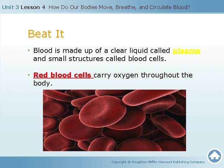 Unit 3 Lesson 4 How Do Our Bodies