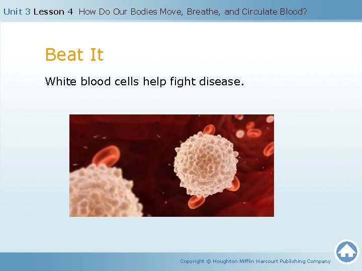 Unit 3 Lesson 4 How Do Our Bodies