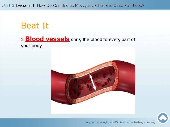 Unit 3 Lesson 4 How Do Our Bodies