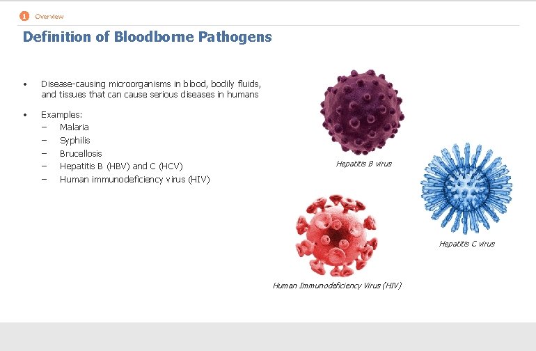 Bloodborne Pathogens Introduction How to Use this Presentation