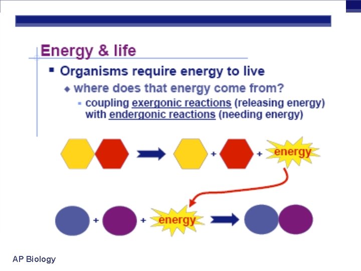 Unit 2 Cellular Metabolism Connection with Big Idea