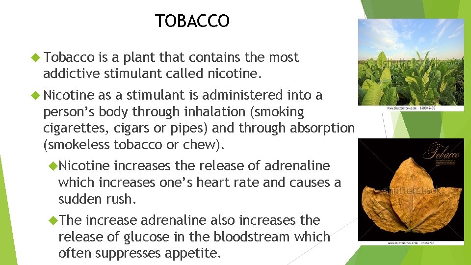 Chapter 12 Tobacco and Alcohol Objectives 1 Identify