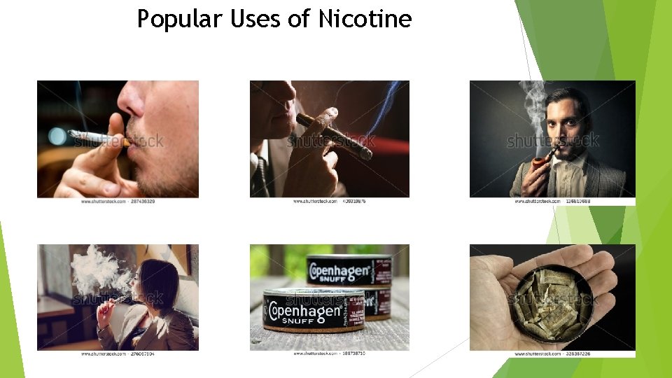 Chapter 12 Tobacco and Alcohol Objectives 1 Identify