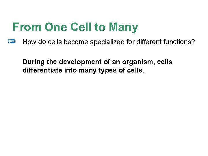 Lesson Overview 10 4 Cell Differentiation THINK ABOUT