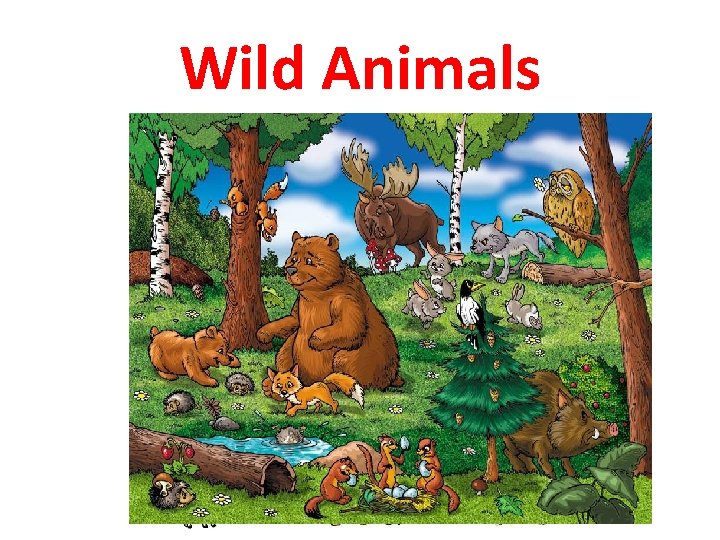 What Do We Know about Animals Do you