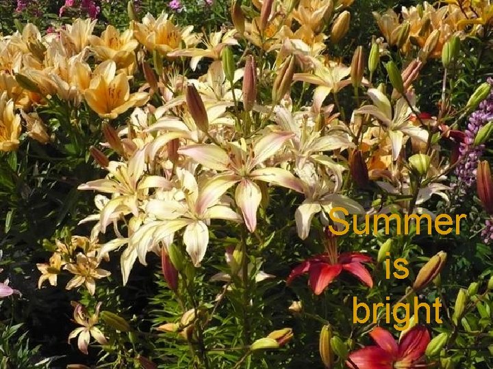 Rainbow The sun SEASONS AND WEATHER Snow Rain