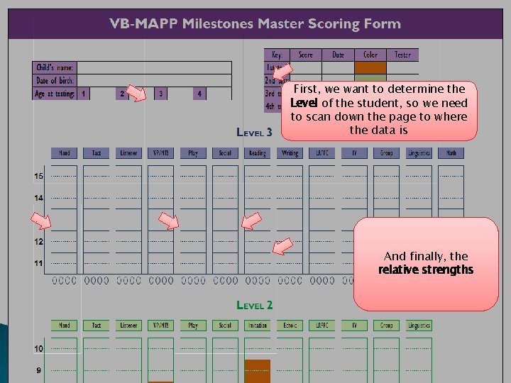 The Verbal Behavior Milestones Assessment and Placement Program