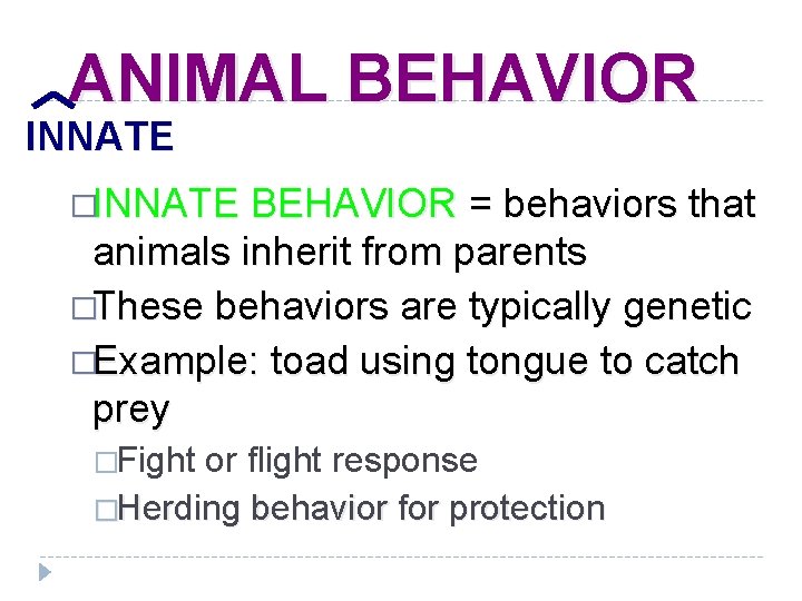 Behavioral Animal Adaptations Survival of organisms ANIMAL BEHAVIOR