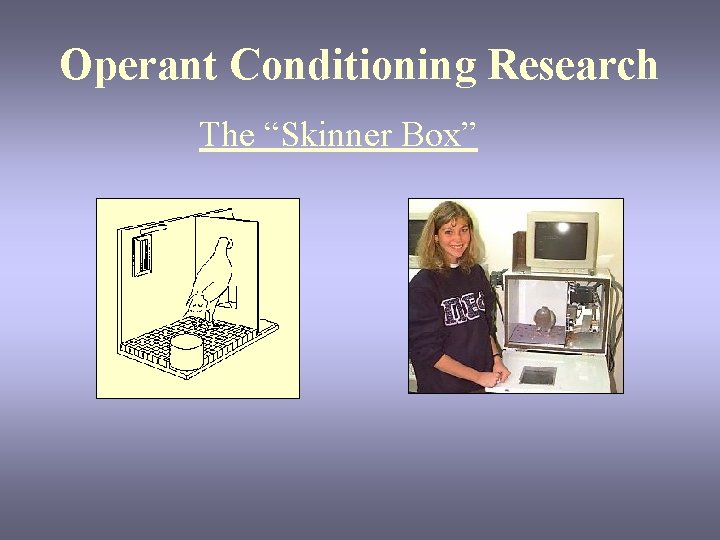 Operant Conditioning B F Skinner Operant Response A