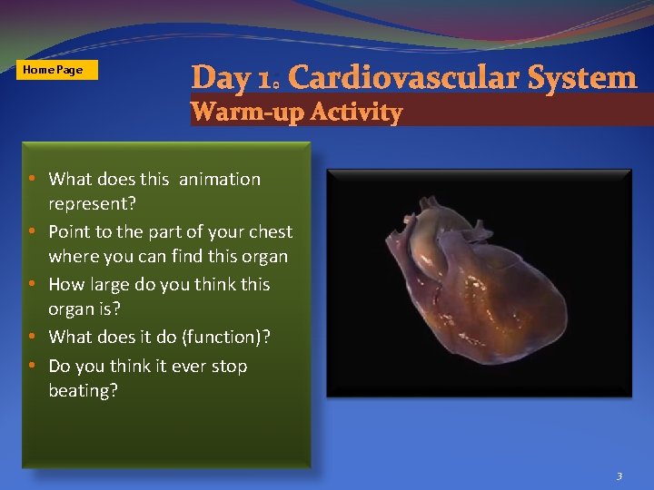 Home Page Cardiovascular System Benchmarks Standard 14 Organization