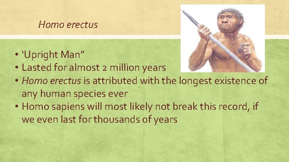 Sapiens A Brief History of Humankind Chapter One