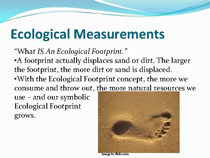 Ecological Measurements Your Carbon Footprint Ecological Measurements What