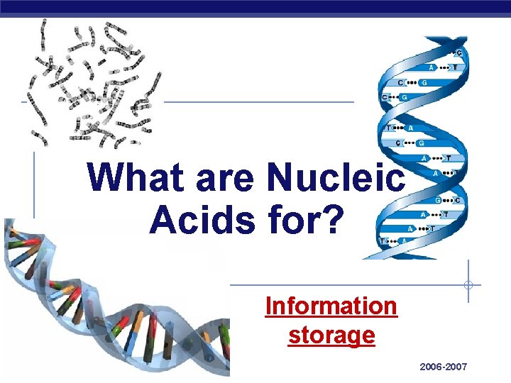 Nucleic acids AP Biology 2006 2007 What are