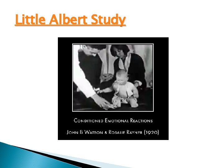 John Broadus Watson Father of Behaviorism 1878 1958