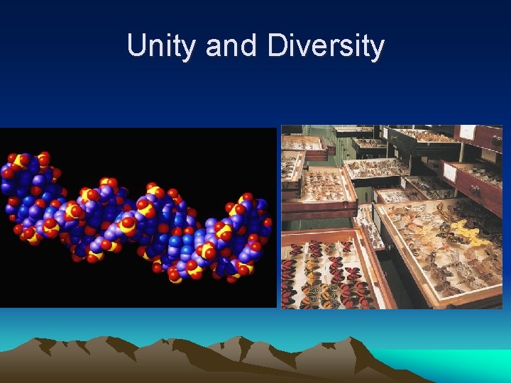 Biology 4 Biology 4 Biophilia What is Life