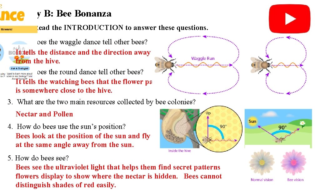 Bee Bonanza Directions Click this image to the