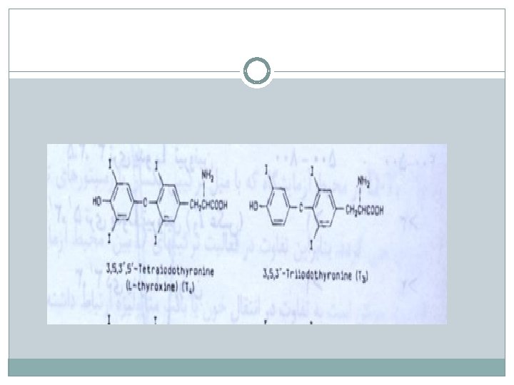 Out line catechol amines Introduction Structure Biosynthesis Secretion