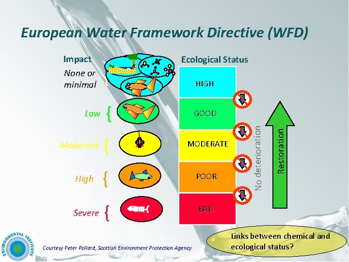 Sources of variability in phytobenthos biomass measurements using