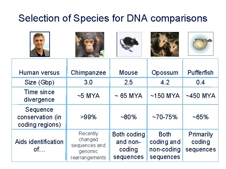 Evolution of Proteins and Genomes Biochemistry and Molecular