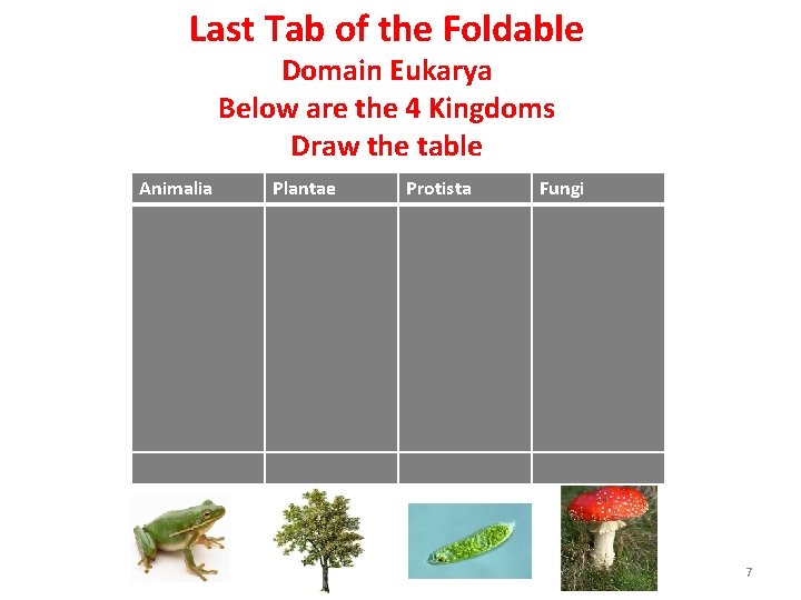 The Three Domains All organisms belong to one