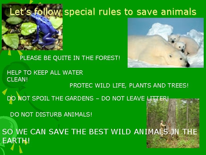 TAKING CARE OF THE WILD ANIMALS IS EVERYBODIES