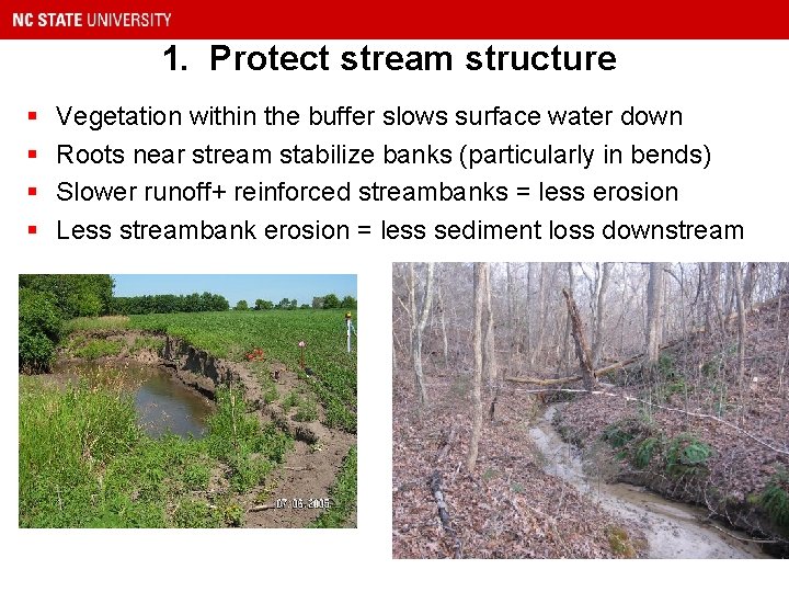 Riparian Buffers for Water Resource Protection Michael R