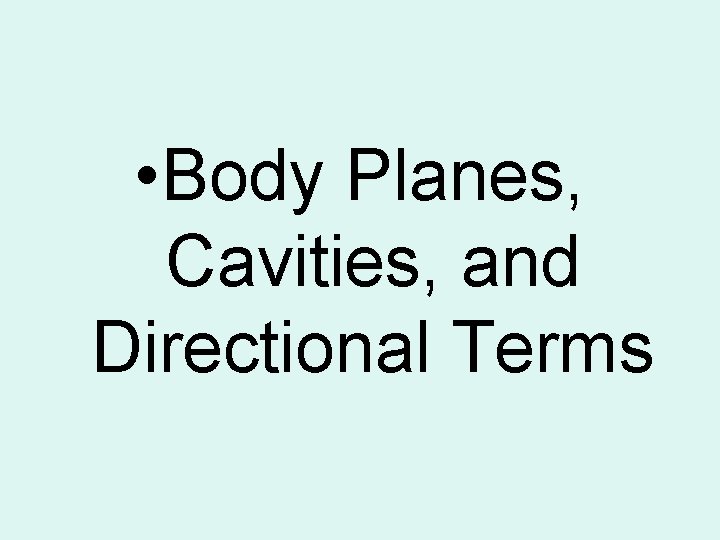Body Systems Organ Systems Overview a group of