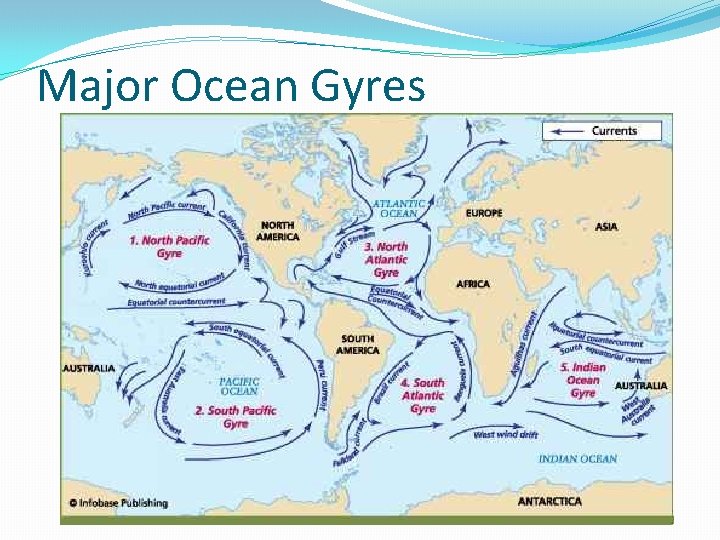 Ocean Currents Vocabulary Ocean Current Coriolis Effect Upwelling