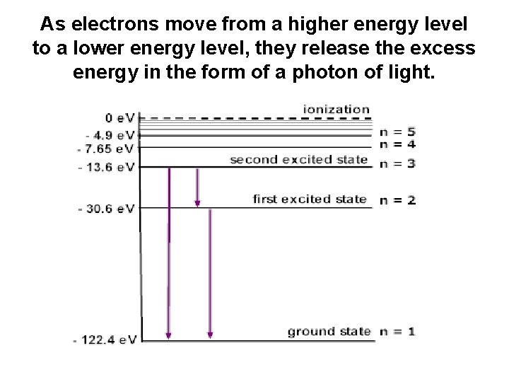 Energetic Light Why Do Things Glow Bioluminescence The