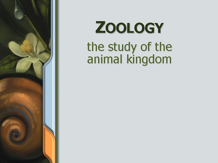 THE INVERTEBRATES Introduction to the Animal Kingdom ZOOLOGY