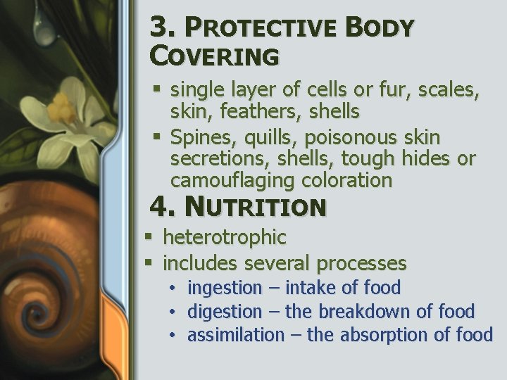 THE INVERTEBRATES Introduction to the Animal Kingdom ZOOLOGY