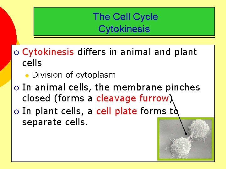 CELL REPRODUCTION SB 1 Students will analyze the