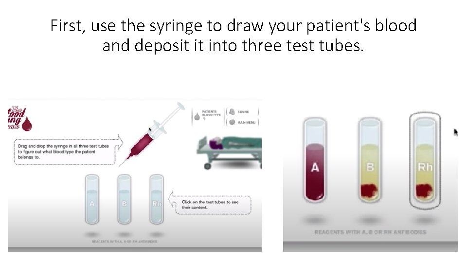 Virtual Blood Type Lab There are four major
