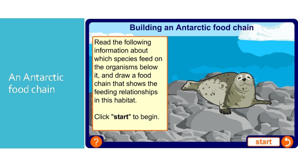 Food Chains and Food Webs Module 5 2