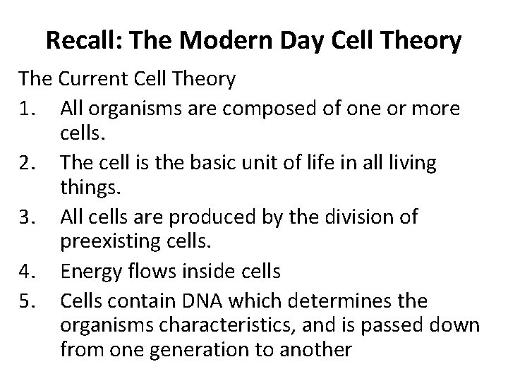 Animal and Plant Cells Middle School Biology Function