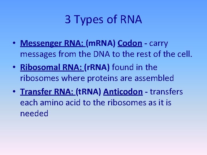 Bell Ringer 1 What is the complementary DNA