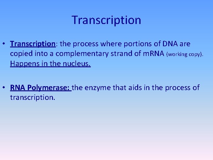 Bell Ringer 1 What is the complementary DNA