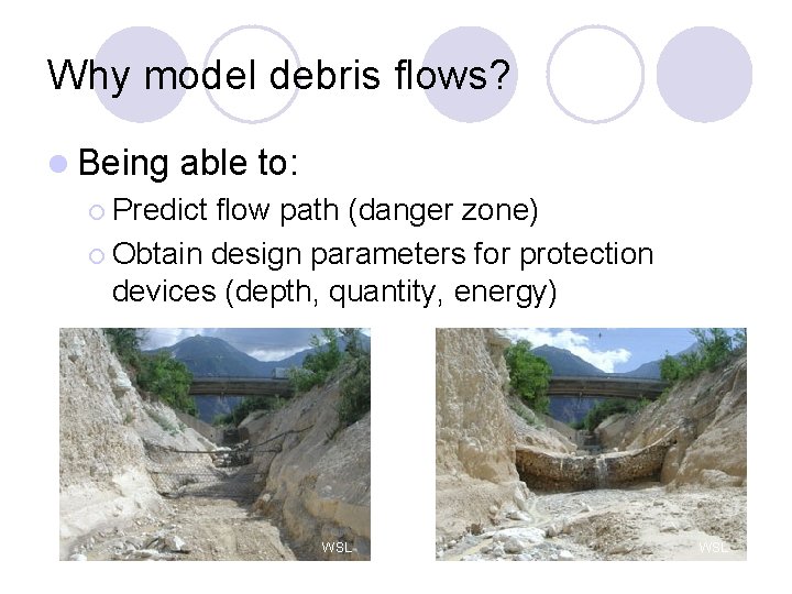 DEBRIS FLOWS MUD SLIDES A Lagrangian method for