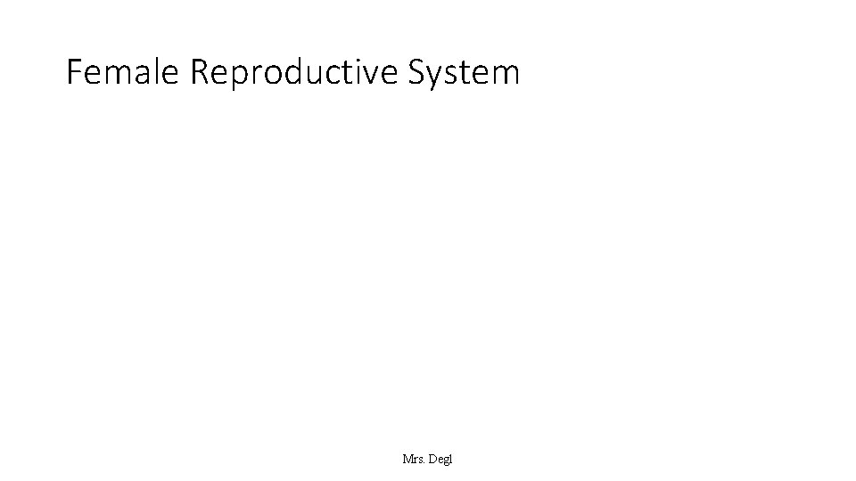 Human Reproductive System Review Bellringer Vocabulary 33 1