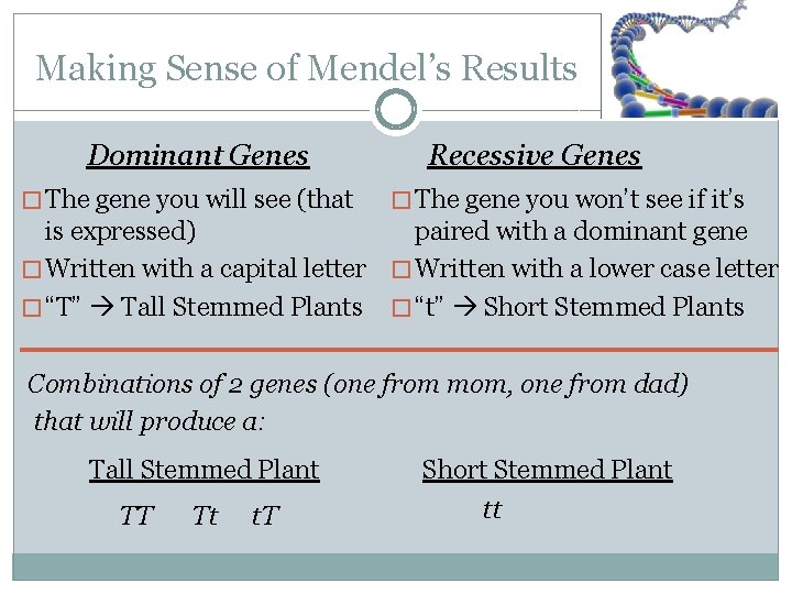 Genetics THE STUDY OF HEREDITY Basic Vocabulary Genetics