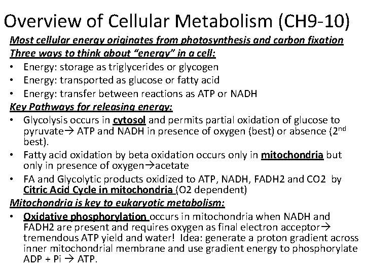 Introduction to Metabolism Ch 9 Sept 28 Quiz