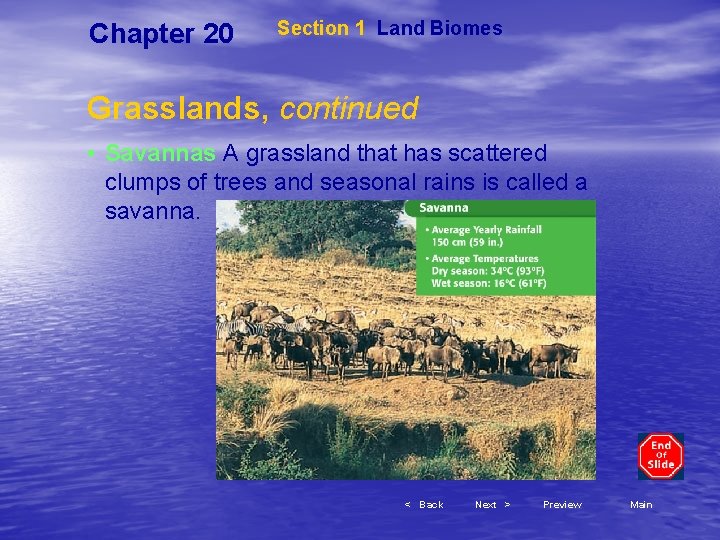 Chapter 20 Section 1 Land Biomes The Earths