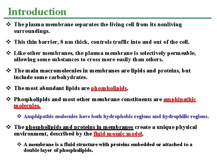 CHAPTER 58 THE STRUCTURE MEMBRANE AND STUCTURE FUNCTION