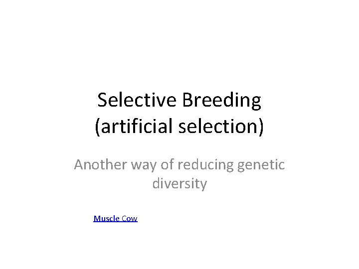 Genetic Diversity What is biodiversity Biodiversity is a