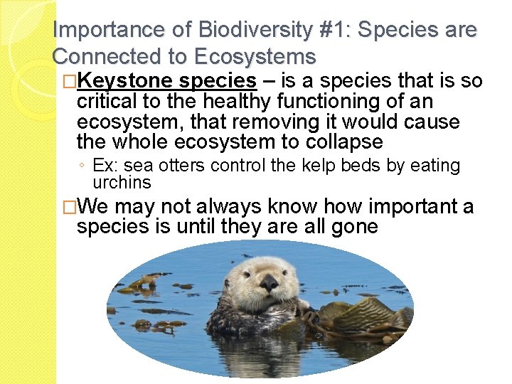 Biodiversity Chapter 10 1 10 2 Biodiversity Objectives